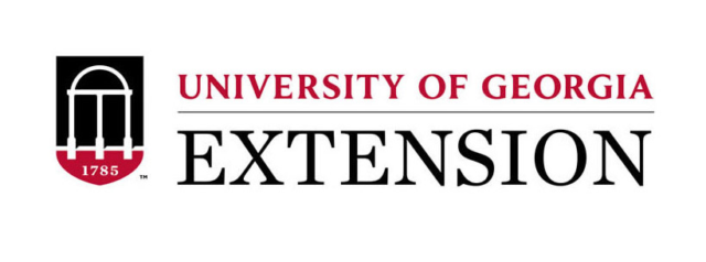 The Best Time to Plant Trees – The Newton Community Magazine