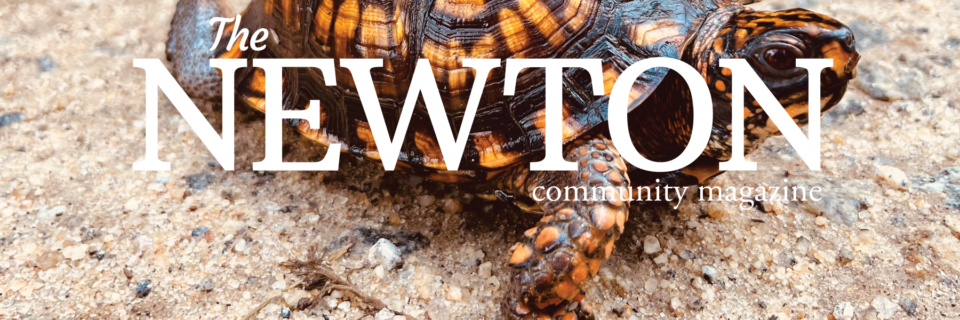 Current Issue – The Newton Community Magazine